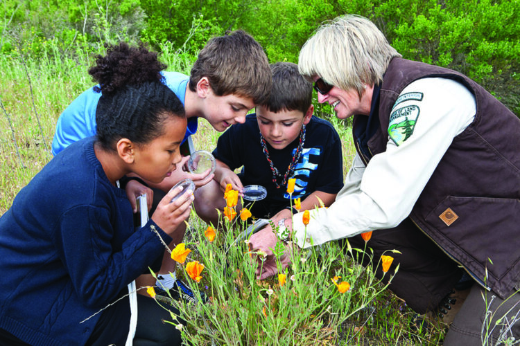 Career Options for Nature and Wildlife Enthusiasts - Grit